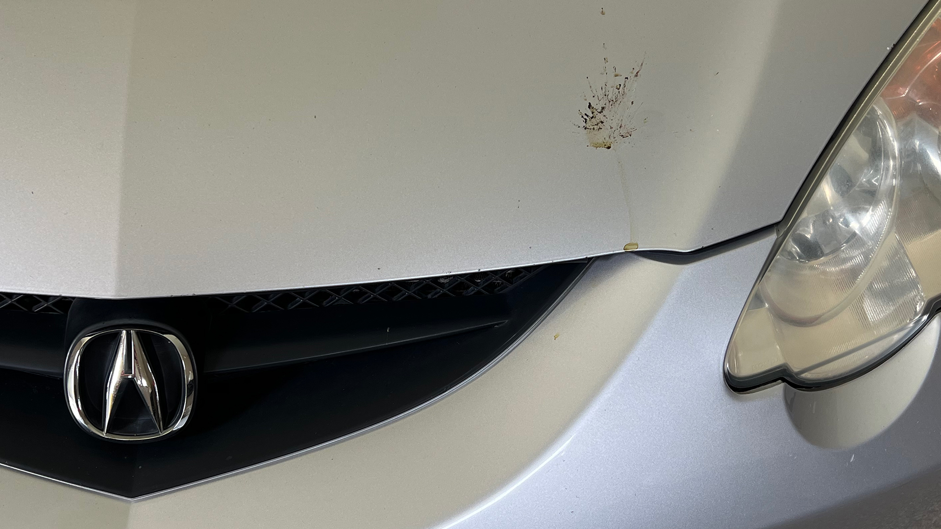 Why You Should Clean Bird Poop Off Your Car ASAP | The Drive
