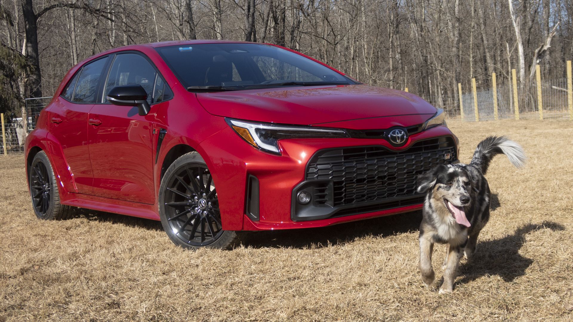 2023 Toyota GR Corolla Review: Will It Dog? | The Drive