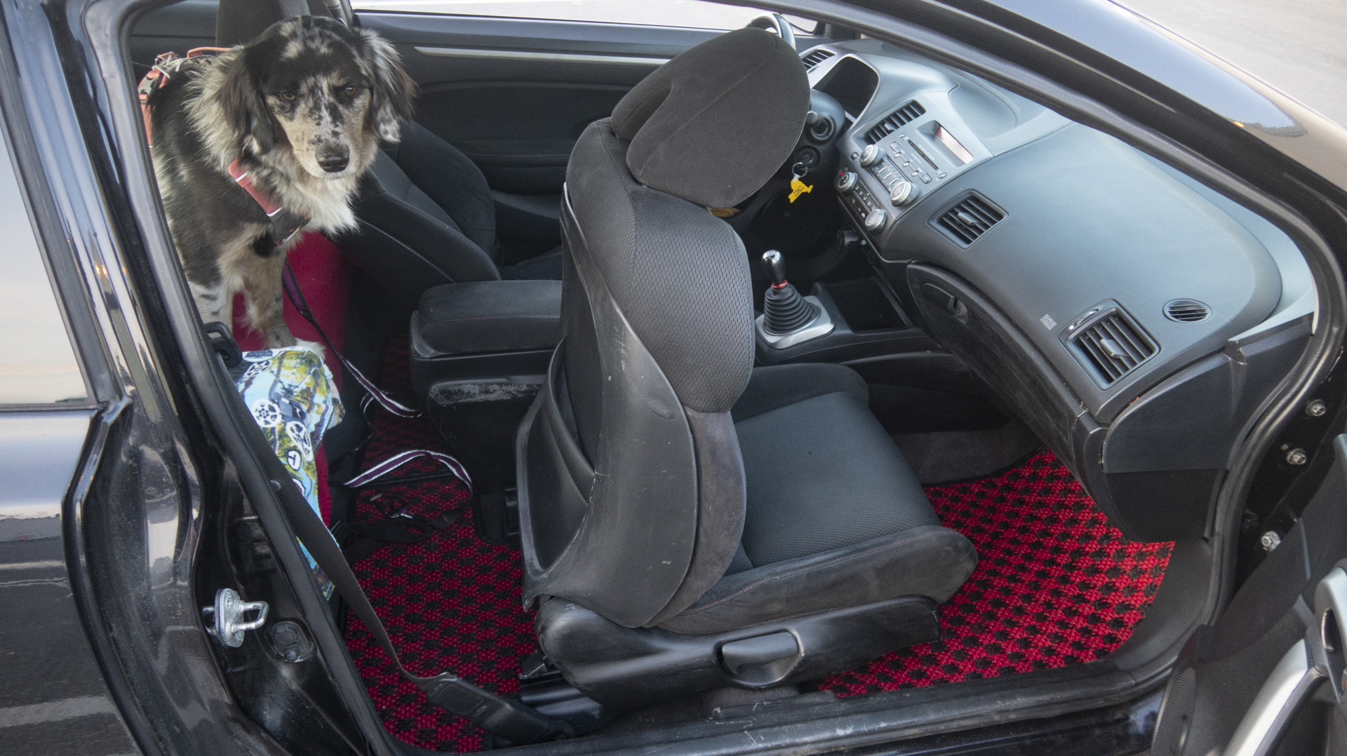 CocoMats Floor Mats Review: Cool, Classy, and Worth the Money