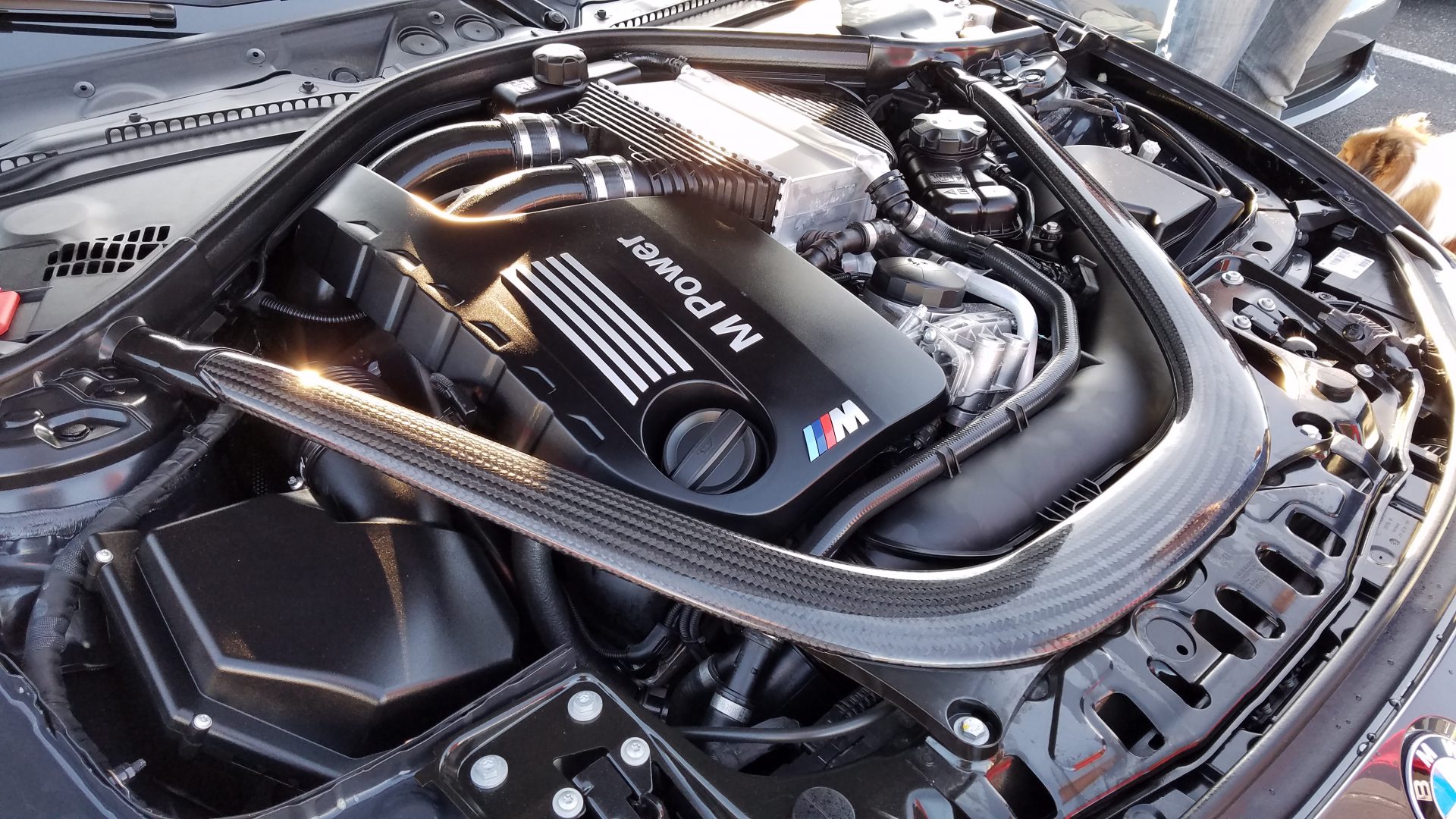 The V8 Engine is Slowly Dying Off | The Drive