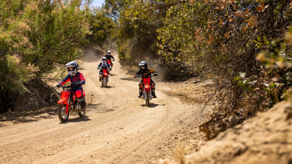 Best Pit Bikes (Review & Buying Guide)