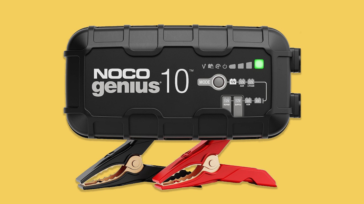 Best Battery Desulfators (Review & Buying Guide)