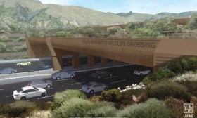 Cameras Show Utah's I-80 Wildlife Overpass Is Working. Now Let's Build ...