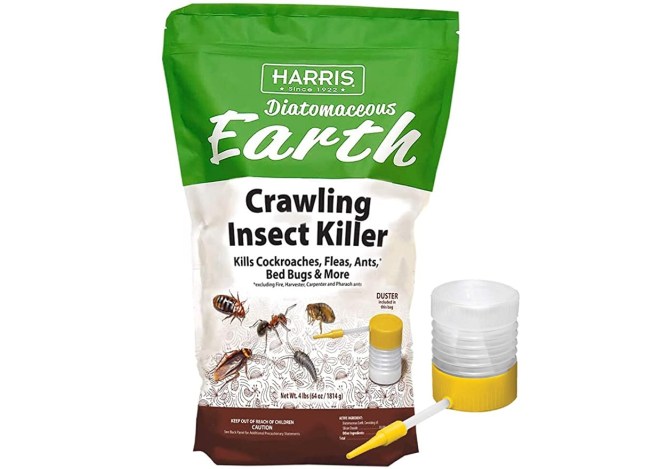 How To Remove Ant, Spider, and Other Bug Infestations From Your Car