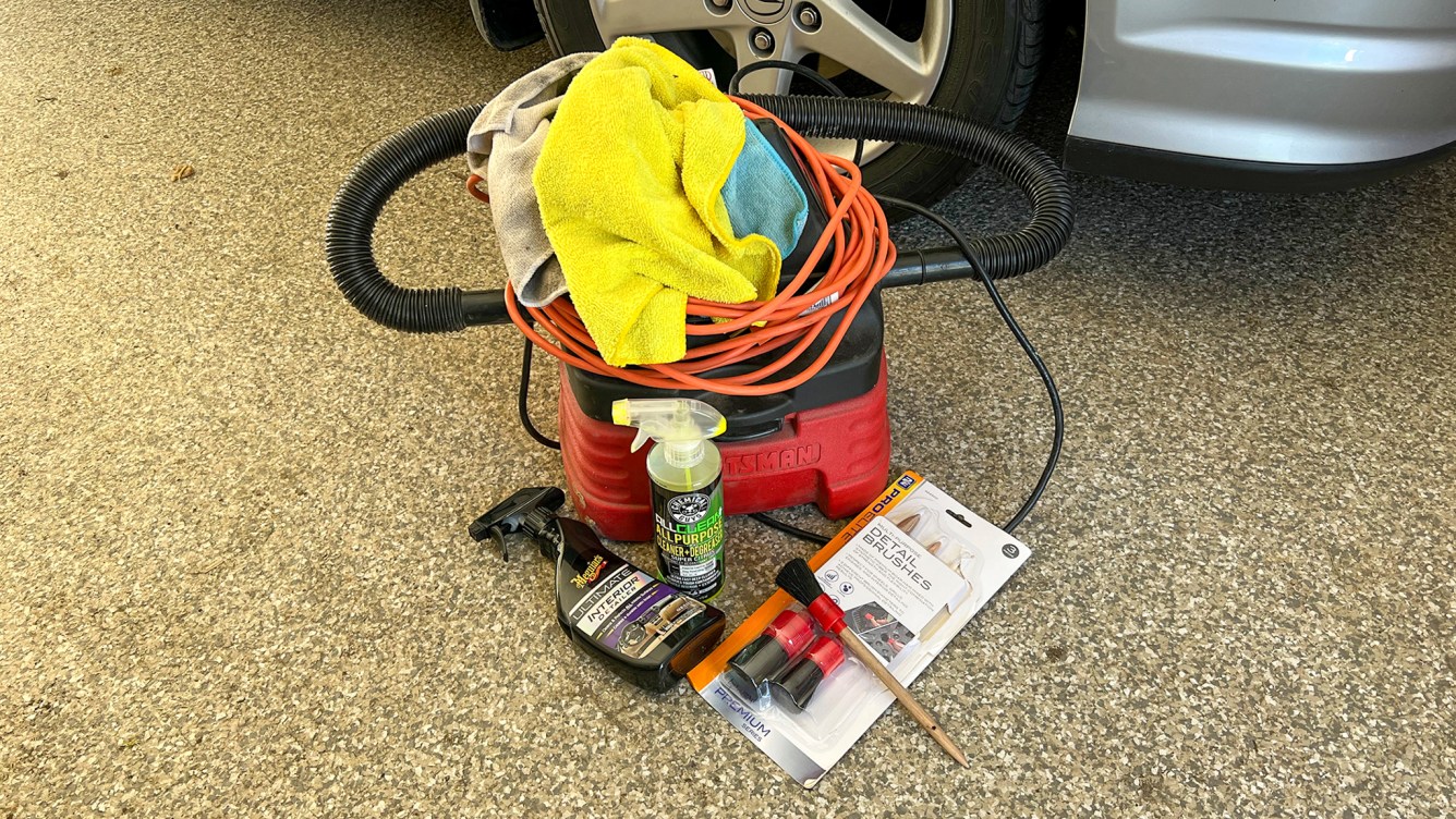 How To Remove Ant, Spider, and Other Bug Infestations From Your Car