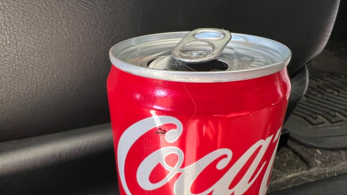 How To Remove Ant, Spider, and Other Bug Infestations From Your Car