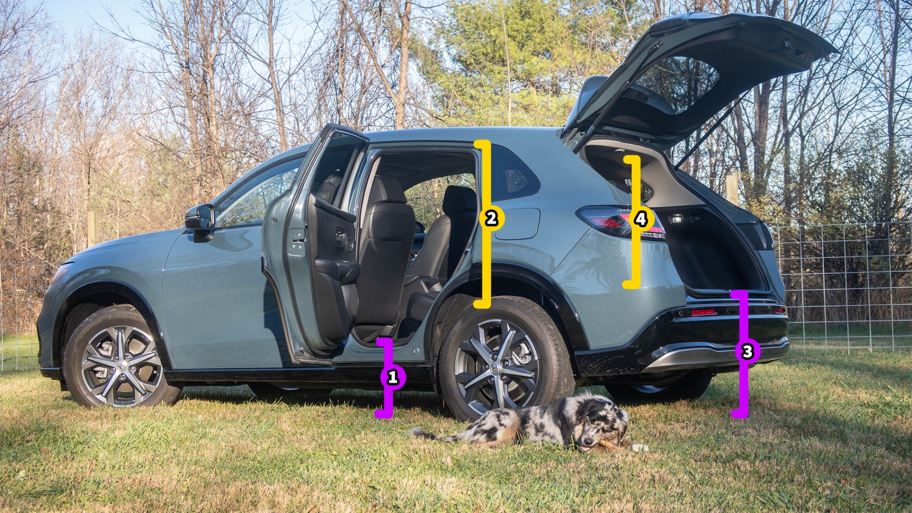 2023 Honda HR-V: Will It Dog?