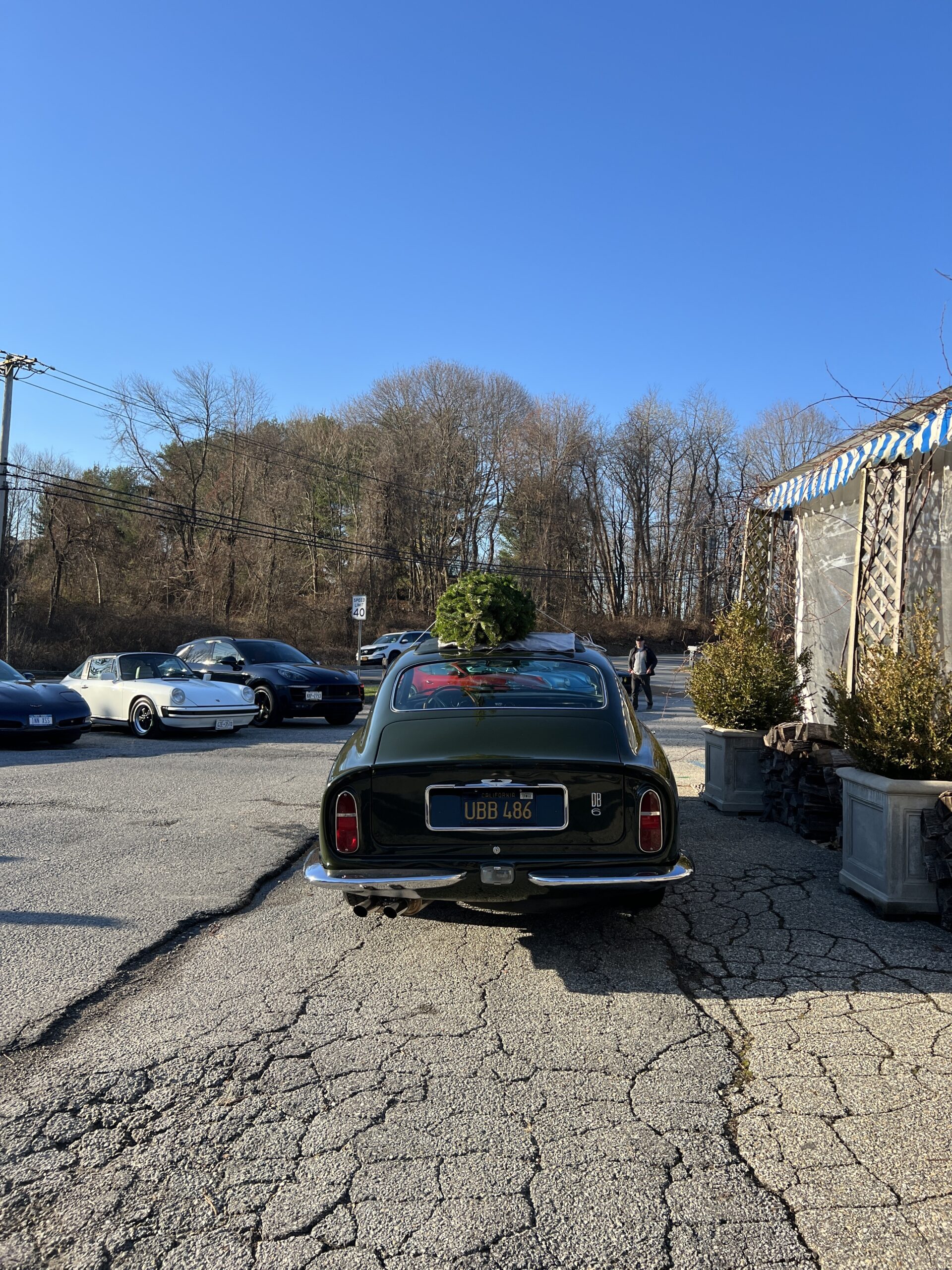 How To Transport a Christmas Tree on Your Car