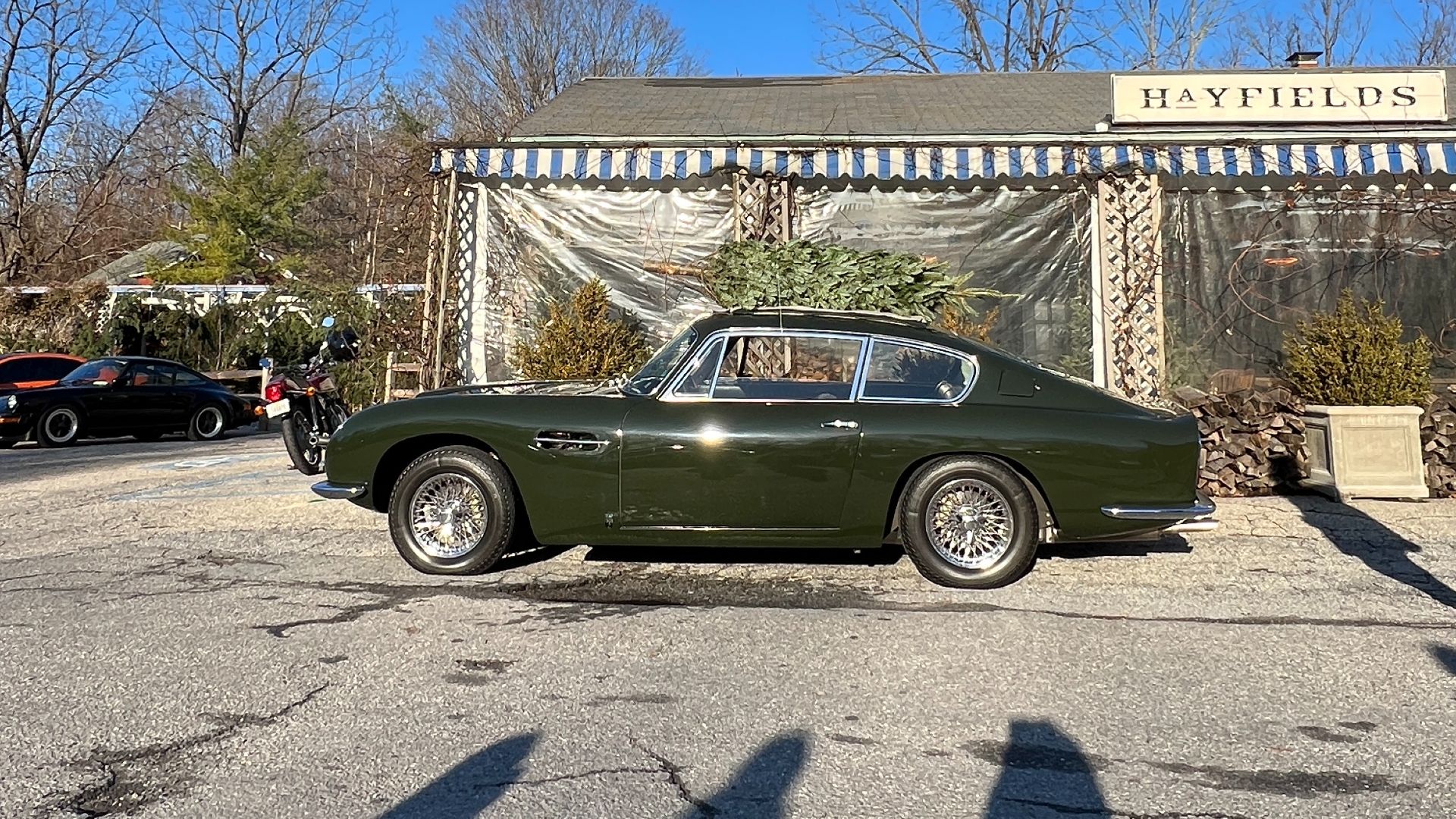 How To Transport a Christmas Tree on Your Car