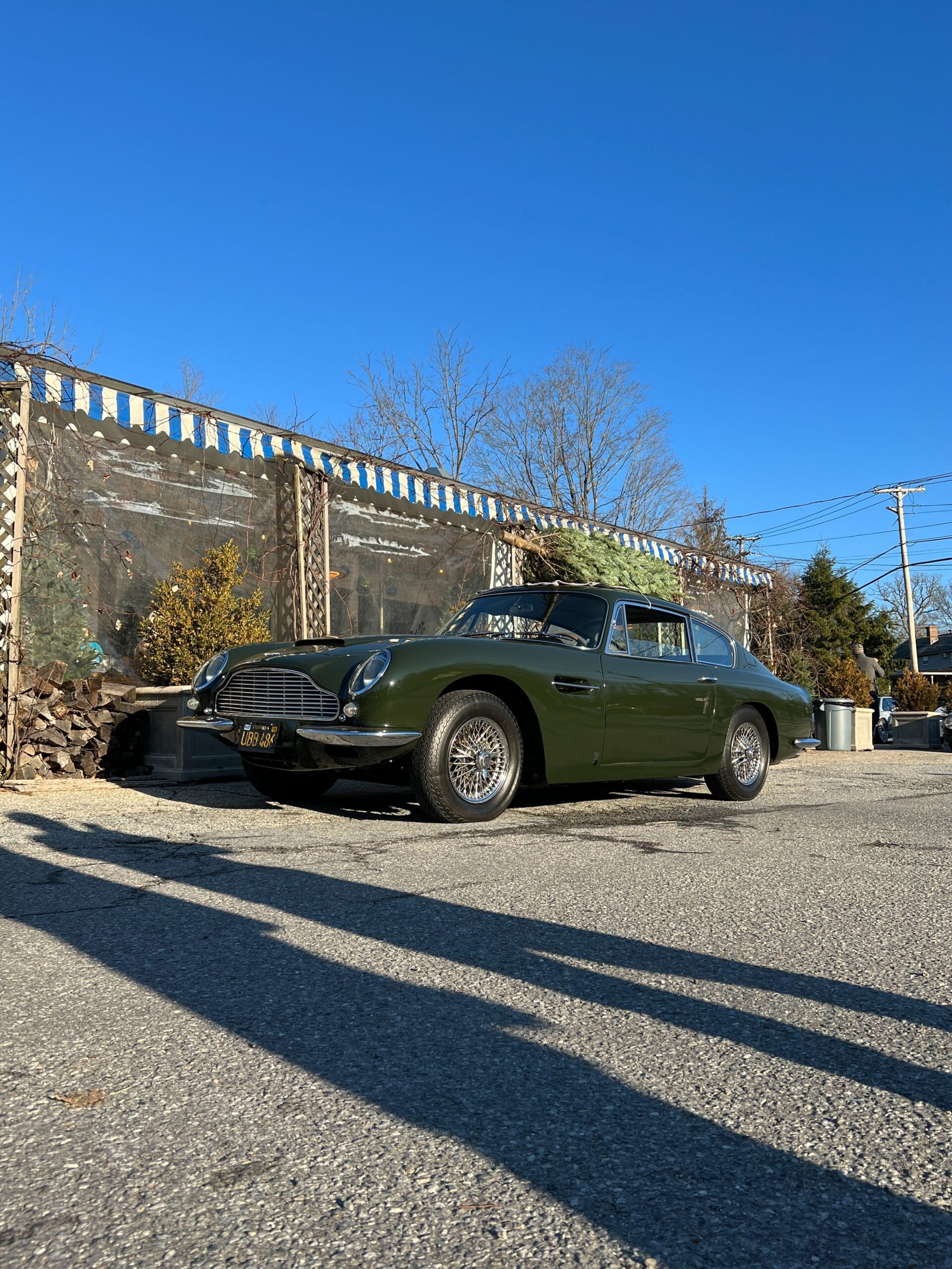 How To Transport a Christmas Tree on Your Car