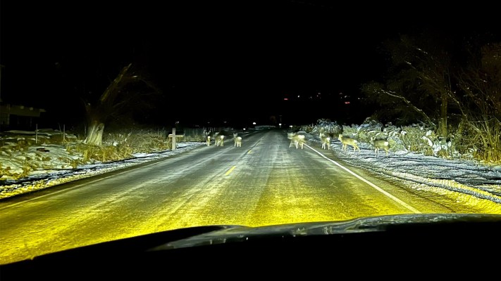 Yellow Off-Road Lights Work. Here's Why