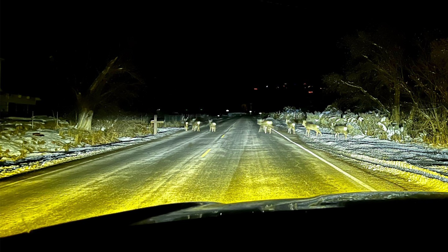 Yellow Off-Road Lights Work. Here's Why