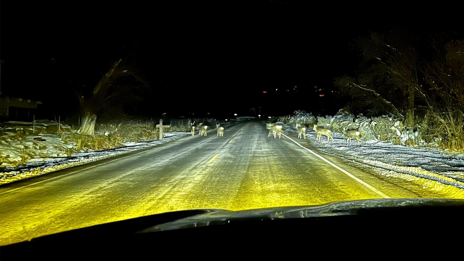 Yellow Off-Road Lights Work. Here's Why