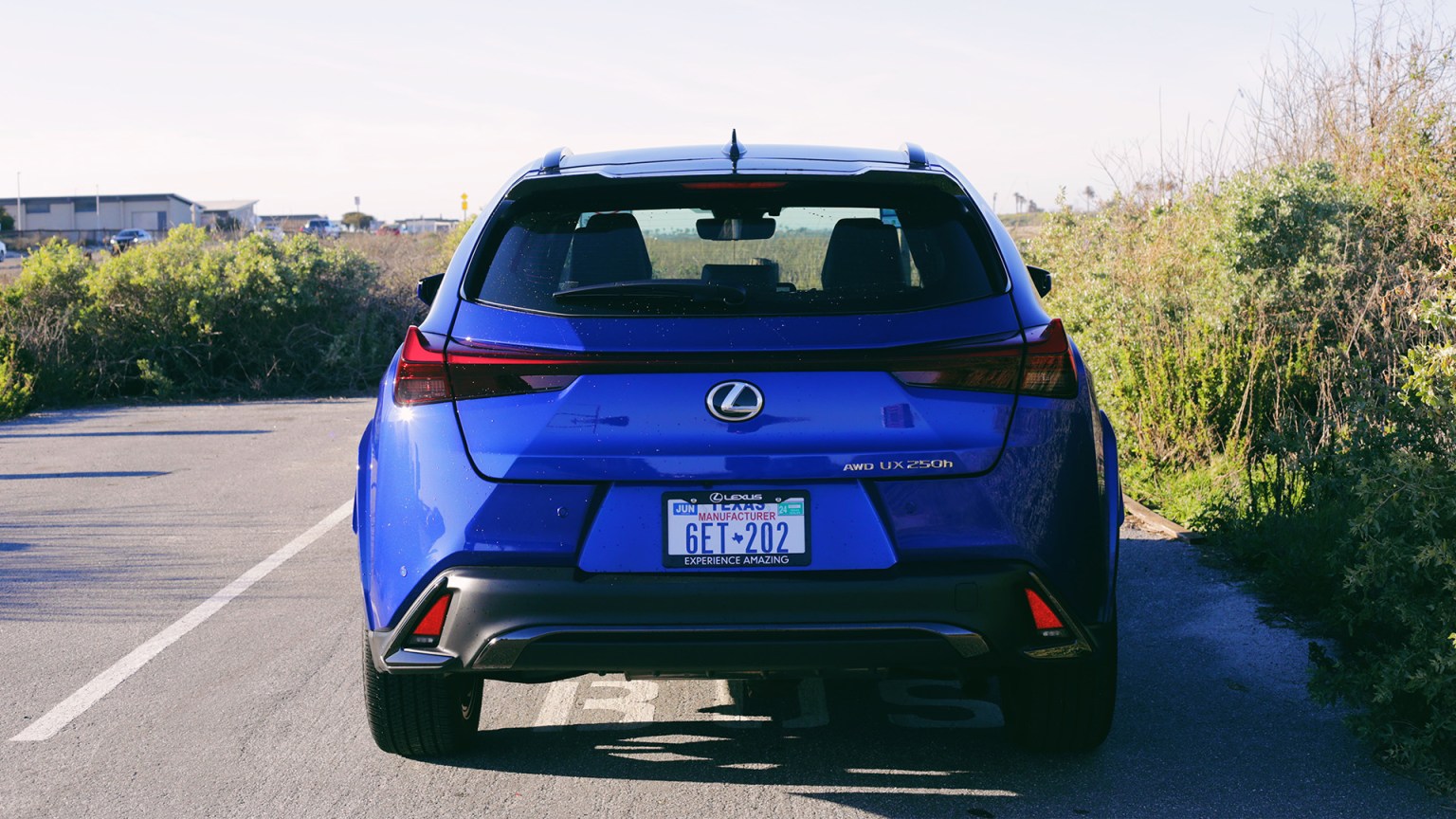 2023 Lexus UX 250h F Sport Review: Affordable Hybrid Luxury Fit for the ...