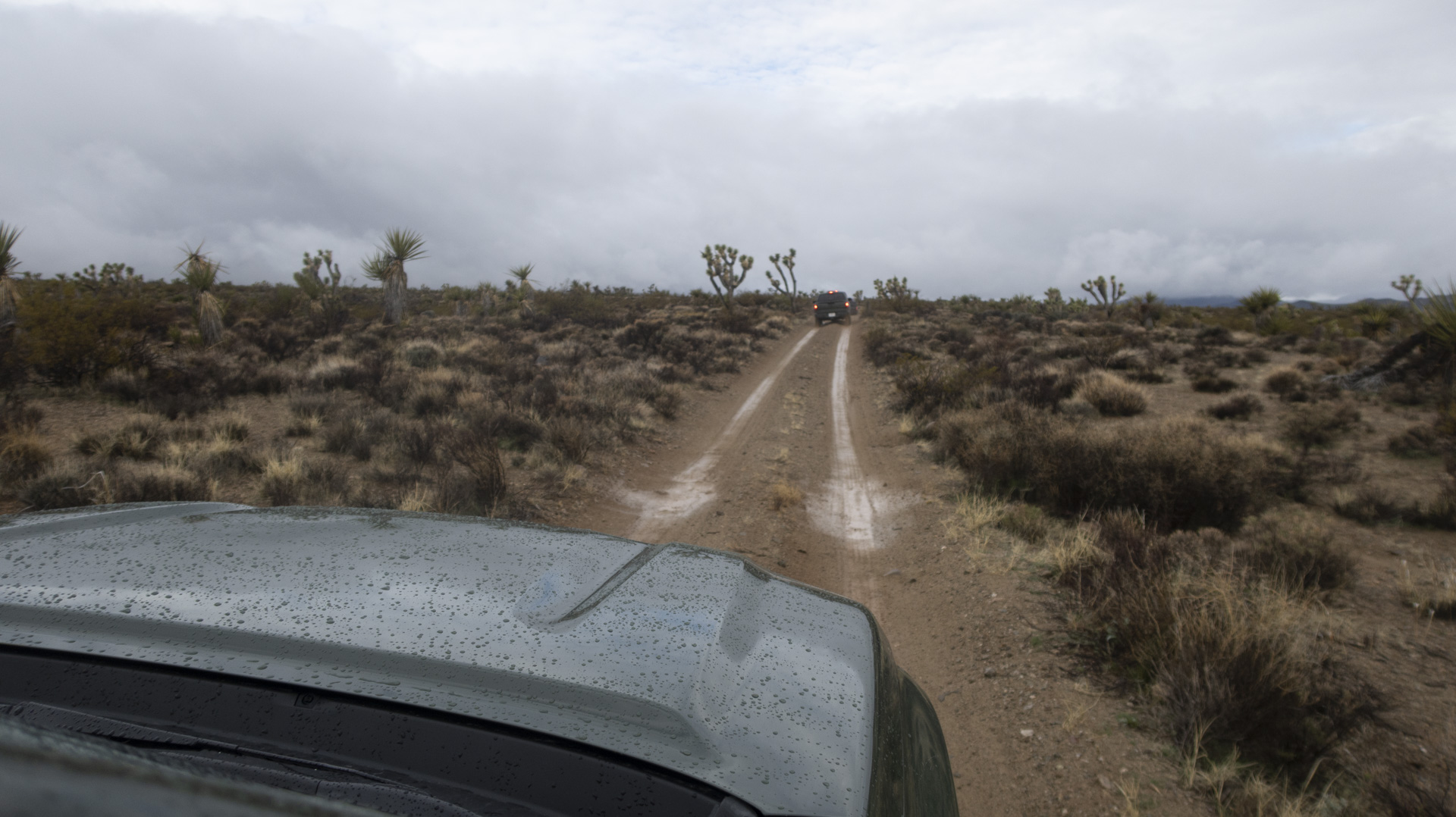 2023 Nissan Frontier Pro-4X Off-Road Review: An Awesome Adventure ...