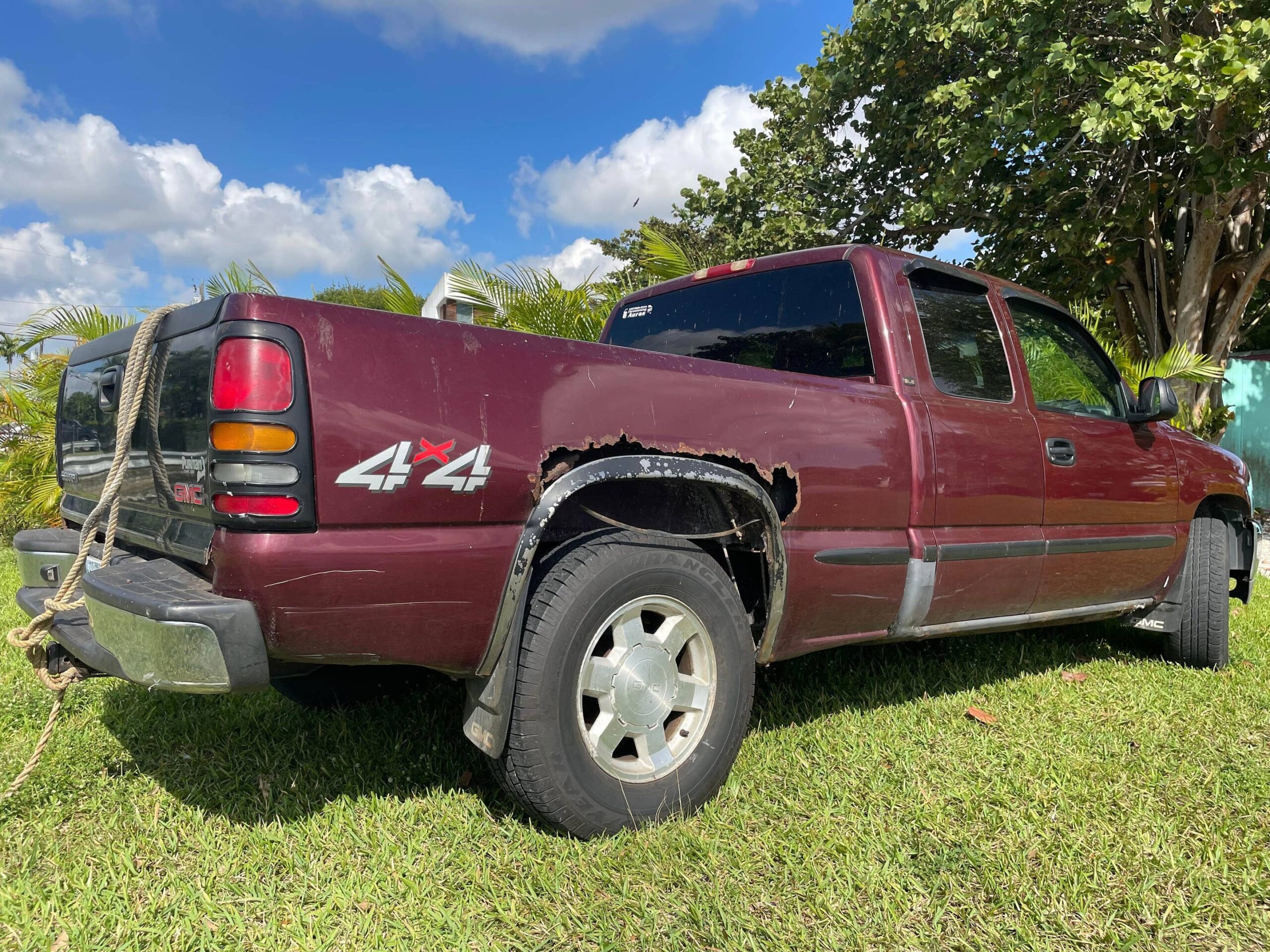 Rusty GMC Sierra With a Tree Growing Through It Now Parked for Good So ...