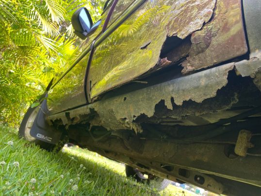 Rusty GMC Sierra With a Tree Growing Through It Now Parked for Good So ...
