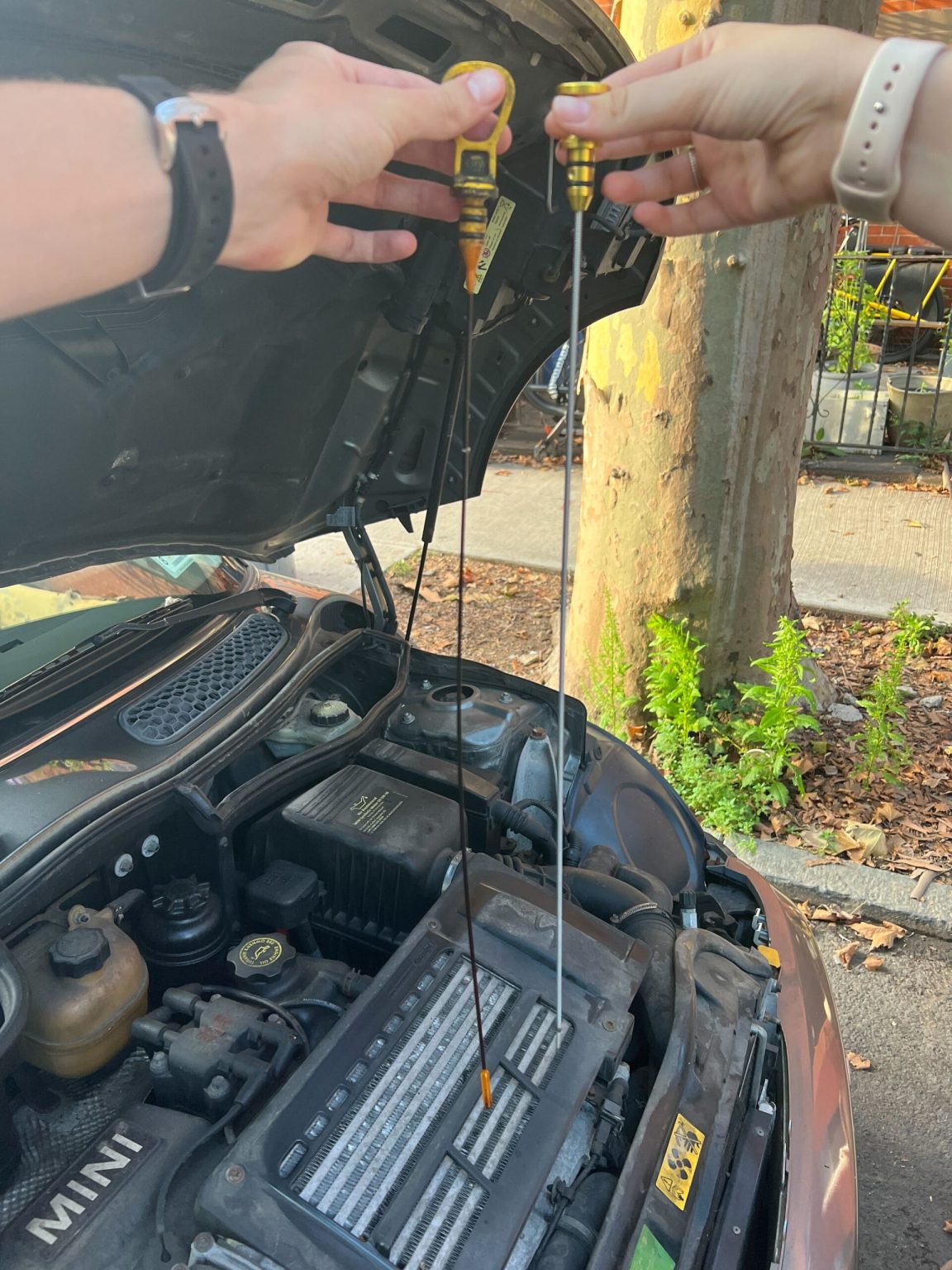 A $17 Part Saved Me From Removing My Mini Cooper S’ Whole Front End