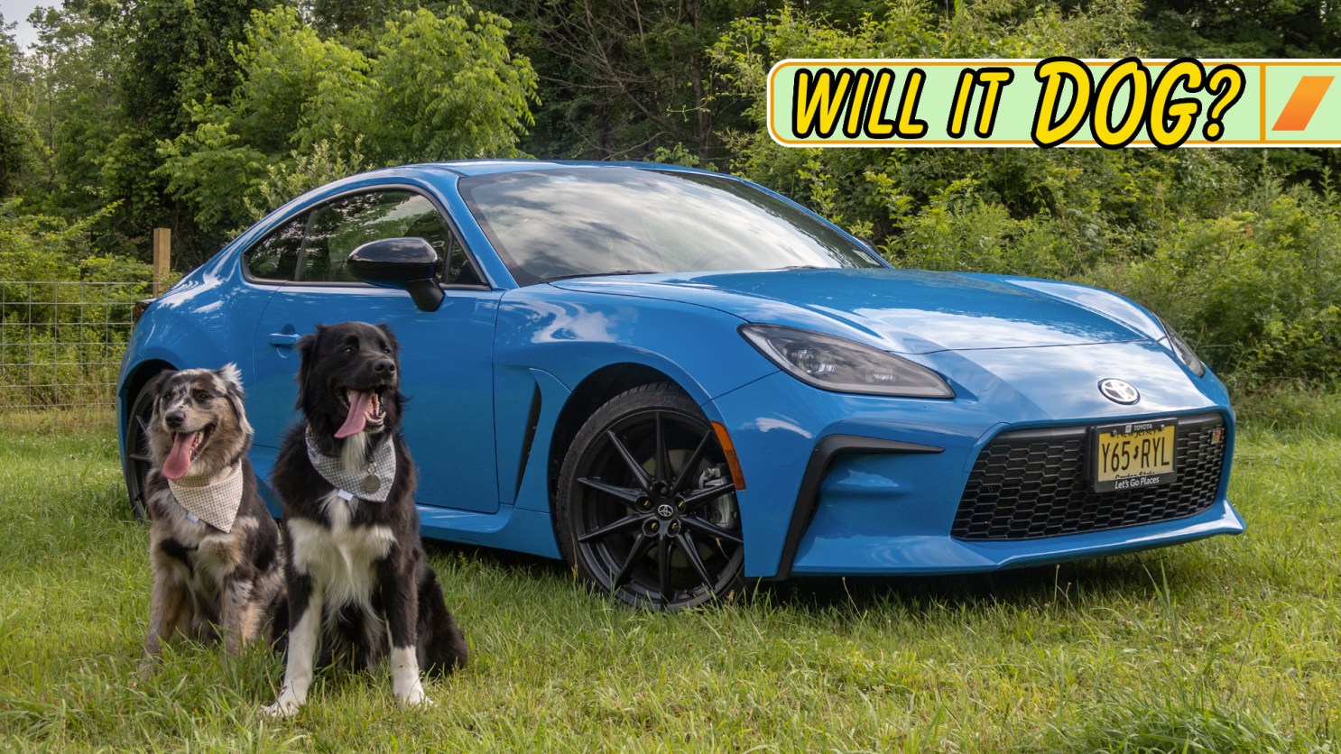 Review: Is the 2023 Toyota GR86 Good for Dog Owners?