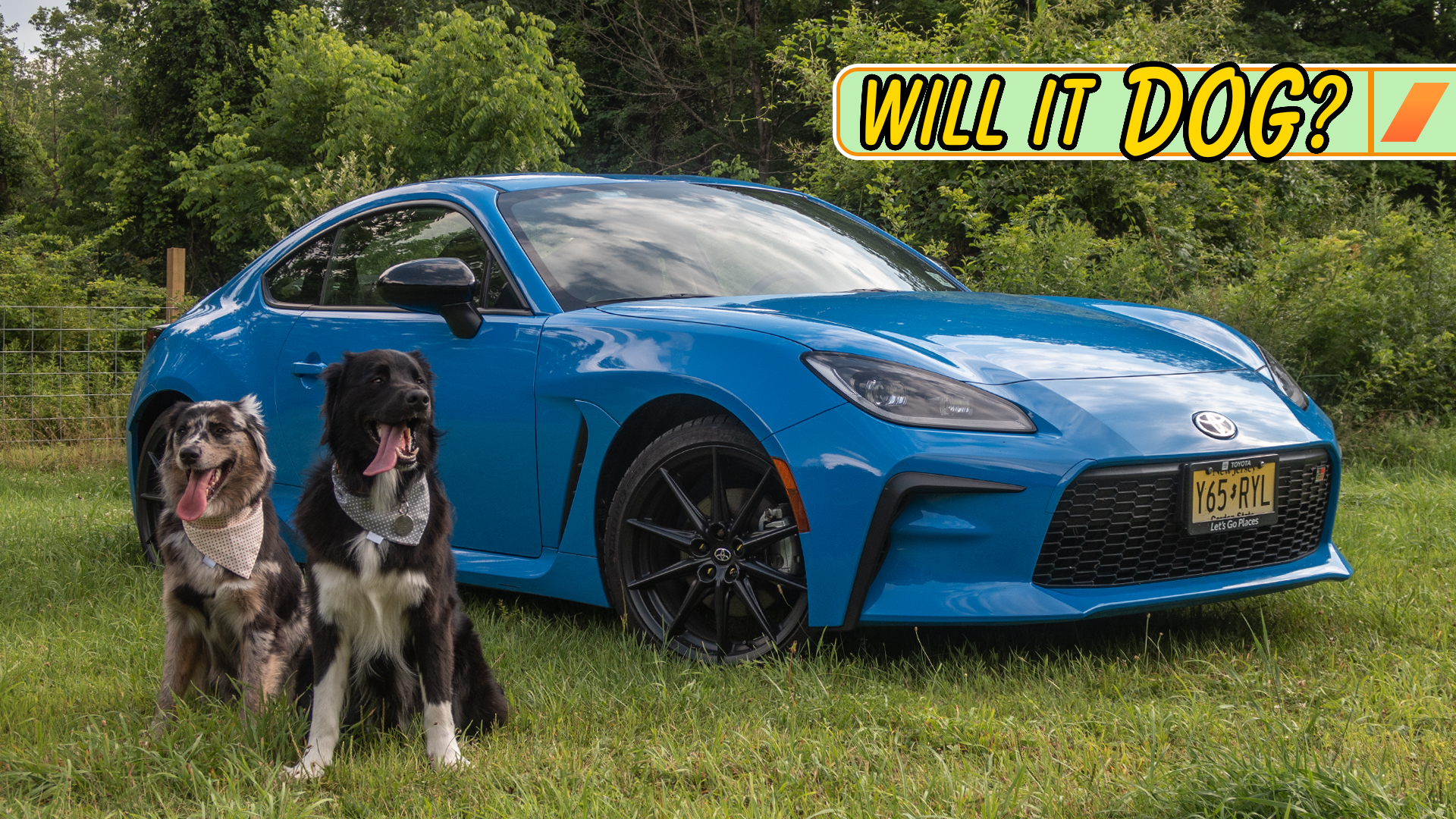 Will it dog? | Toyota GR86 Forum - GT86 Forum, Subaru BRZ Forum, Scion ...