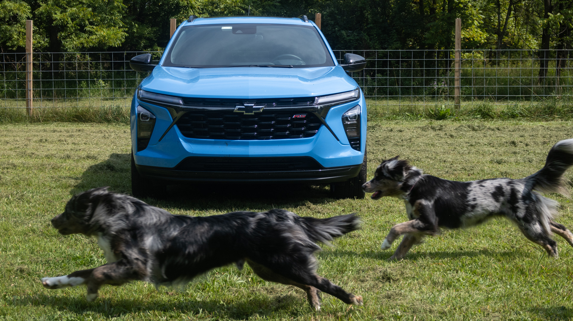Review: Is the 2024 Chevy Trax Good for Dog Owners?
