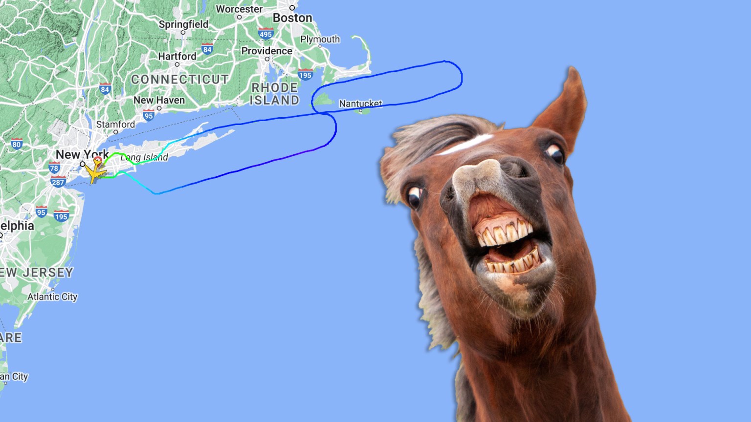 Horse Breaks Loose on Cargo Plane, Forces Turnaround at 31,000 Feet
