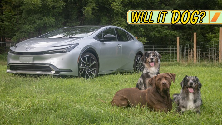 2023 Toyota Prius Review for Dog Owners: Is Toyota's Hot Hybrid a Good ...