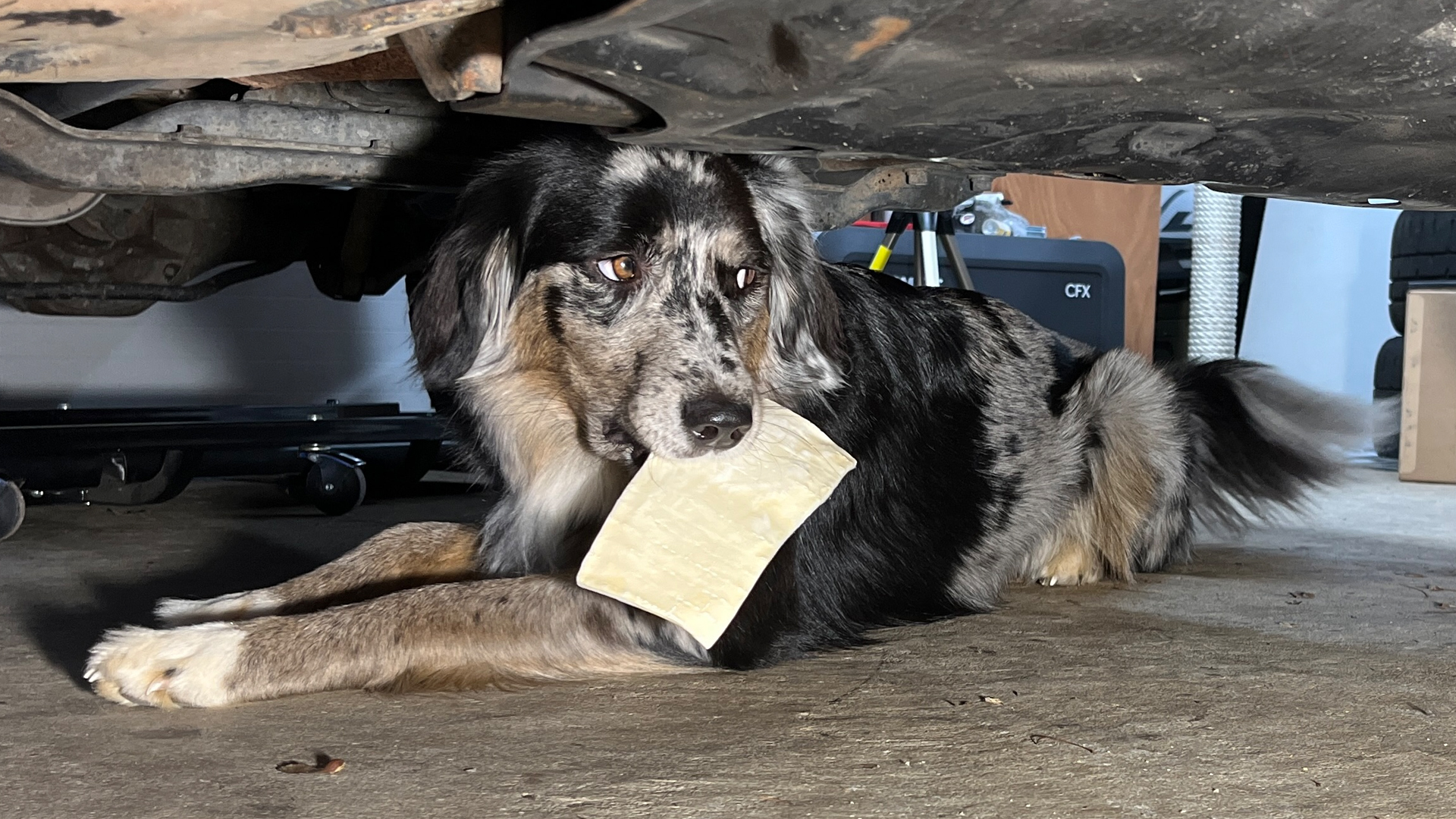 Engine-Cleaning Techniques for Sensitive Old Cars