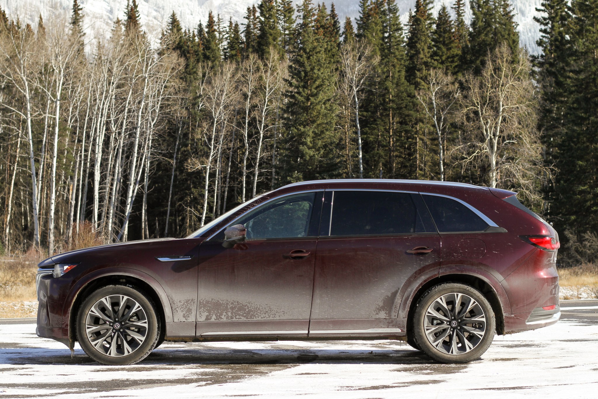 2024 Mazda CX-90 Pros and Cons: Affordable Athletic Luxury for the ...