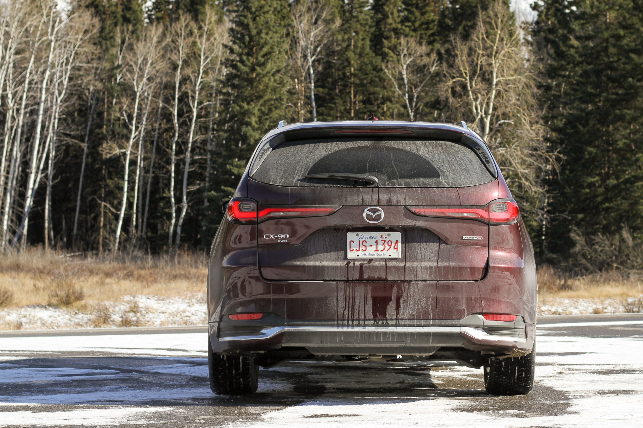 2024 Mazda CX-90 Pros and Cons: Affordable Athletic Luxury for the ...