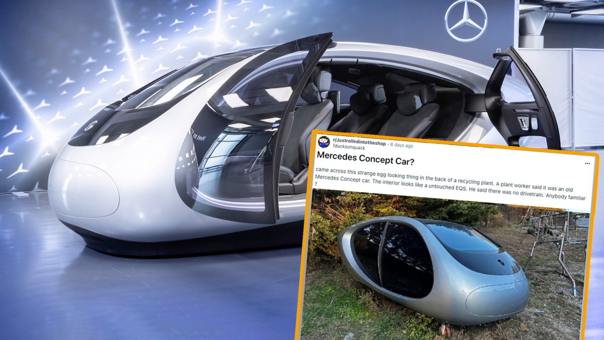 Who's Gonna Rescue This Abandoned Mercedes Concept Techno-Egg?