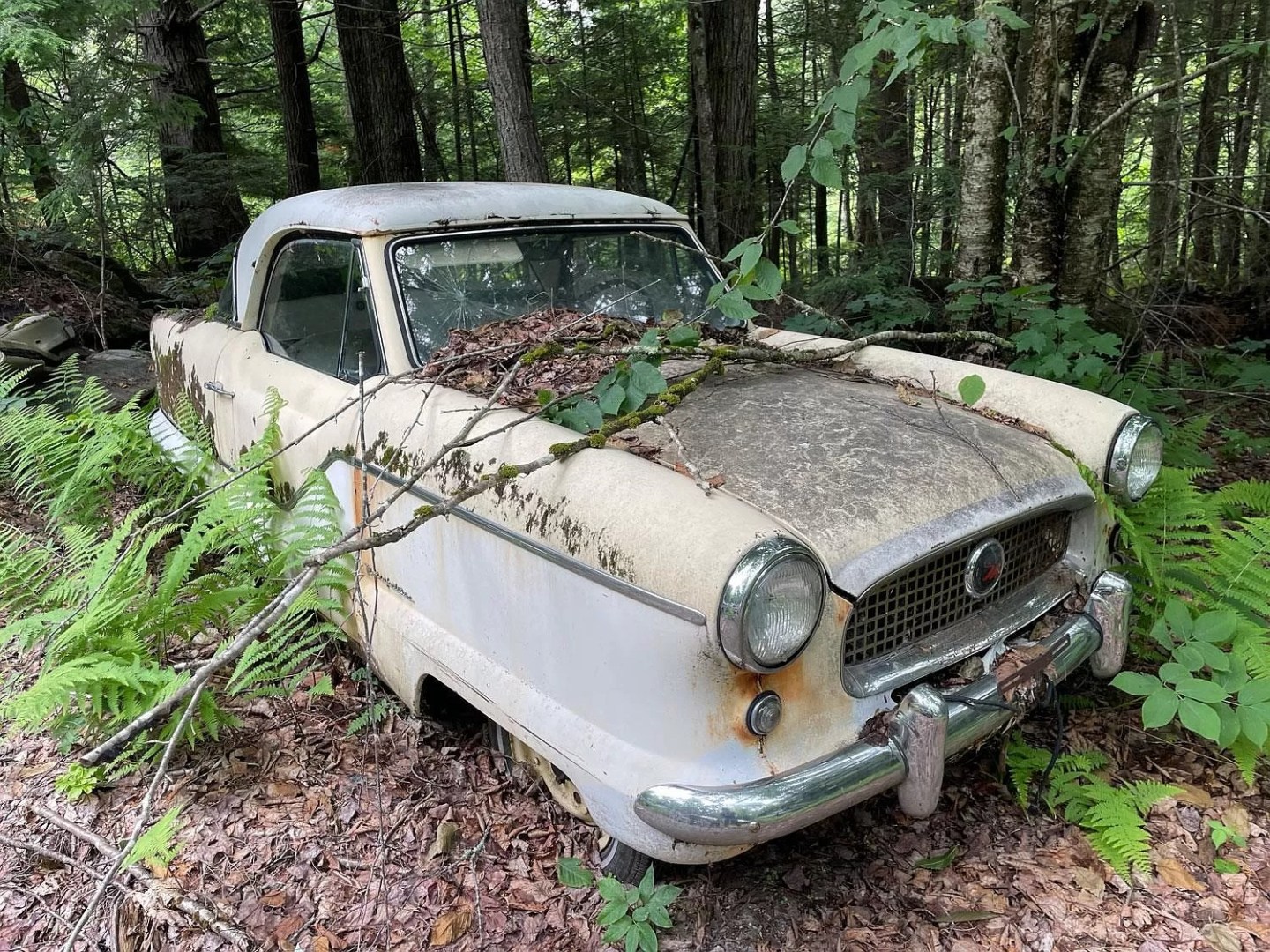 House With Nearly 300 Classic Cars on 18 Acres Is One Rough Diamond for ...