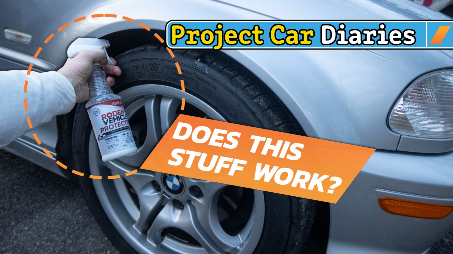Tested Tips for Keeping Mice and Rodents Away From Your Car