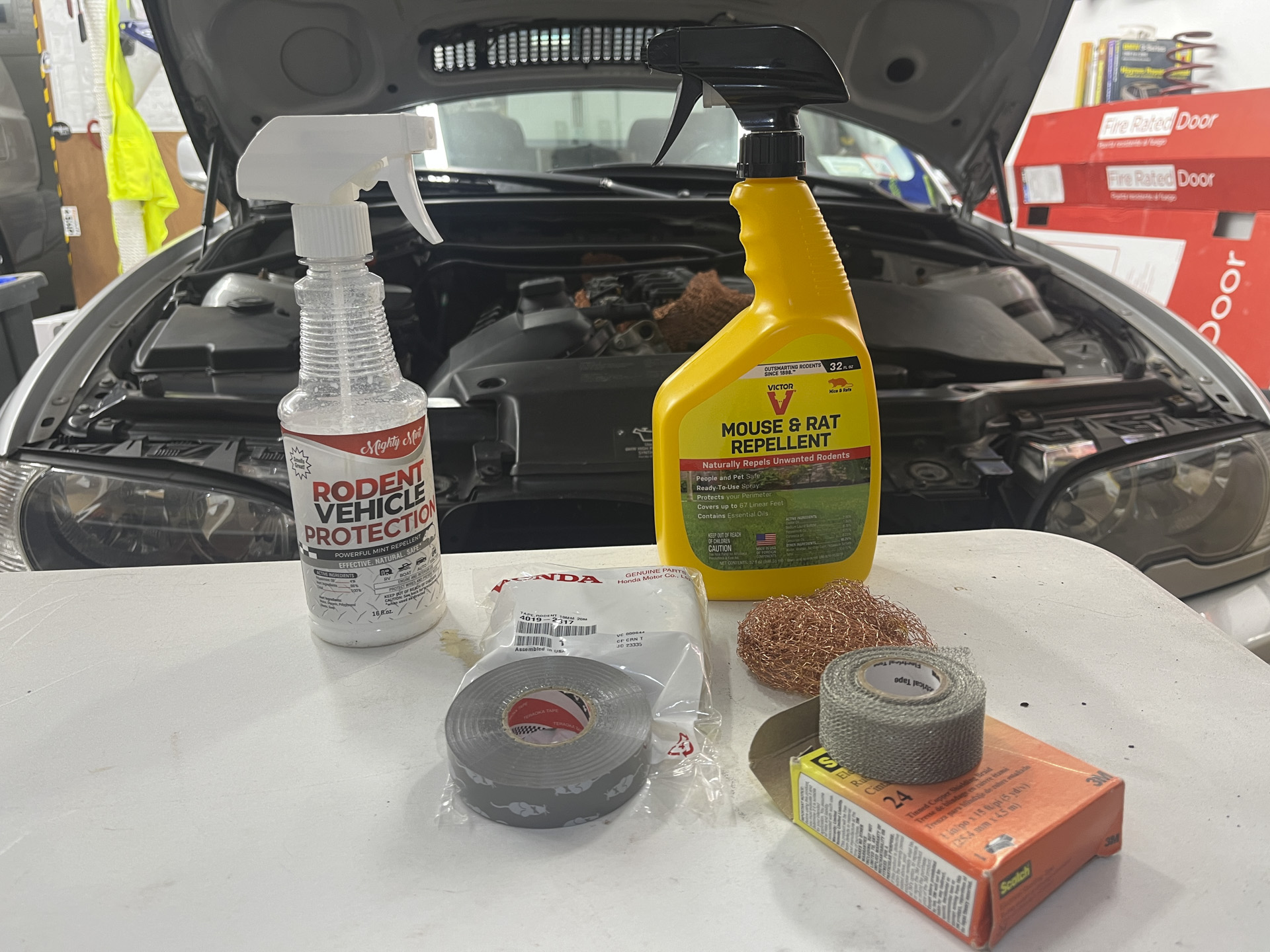 Tested Tips for Keeping Mice and Rodents Away From Your Car