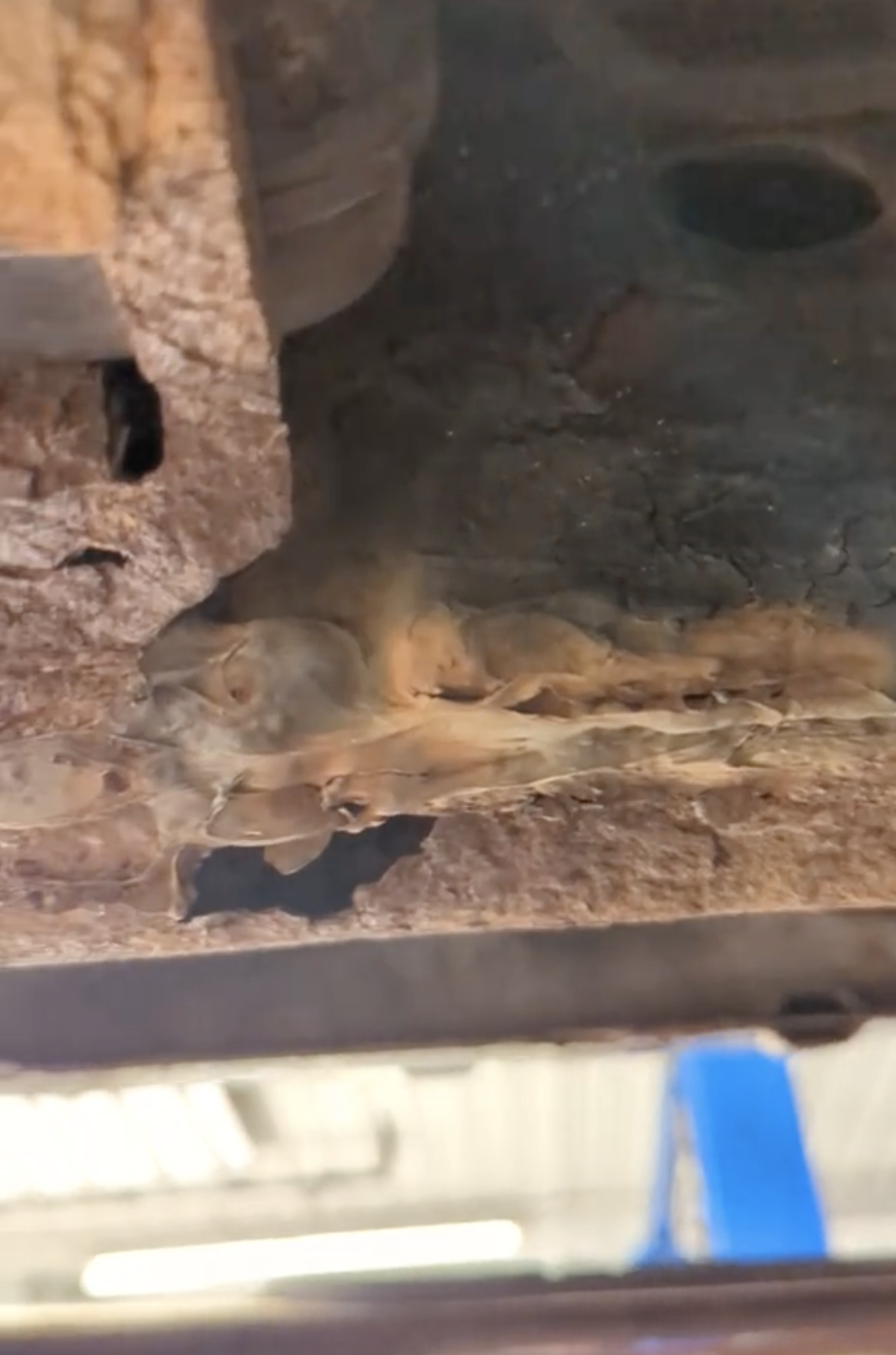 You Won’t Believe How Much Rust Is on This 26K-Mile Chevy Silverado Frame