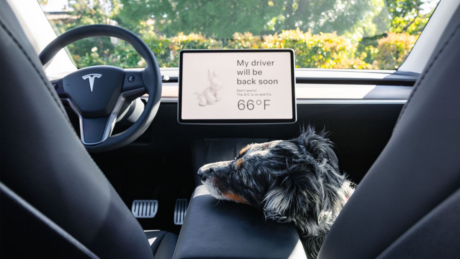 Tesla Owners Say Dog Mode Is Malfunctioning as Summer Heats Up: Report