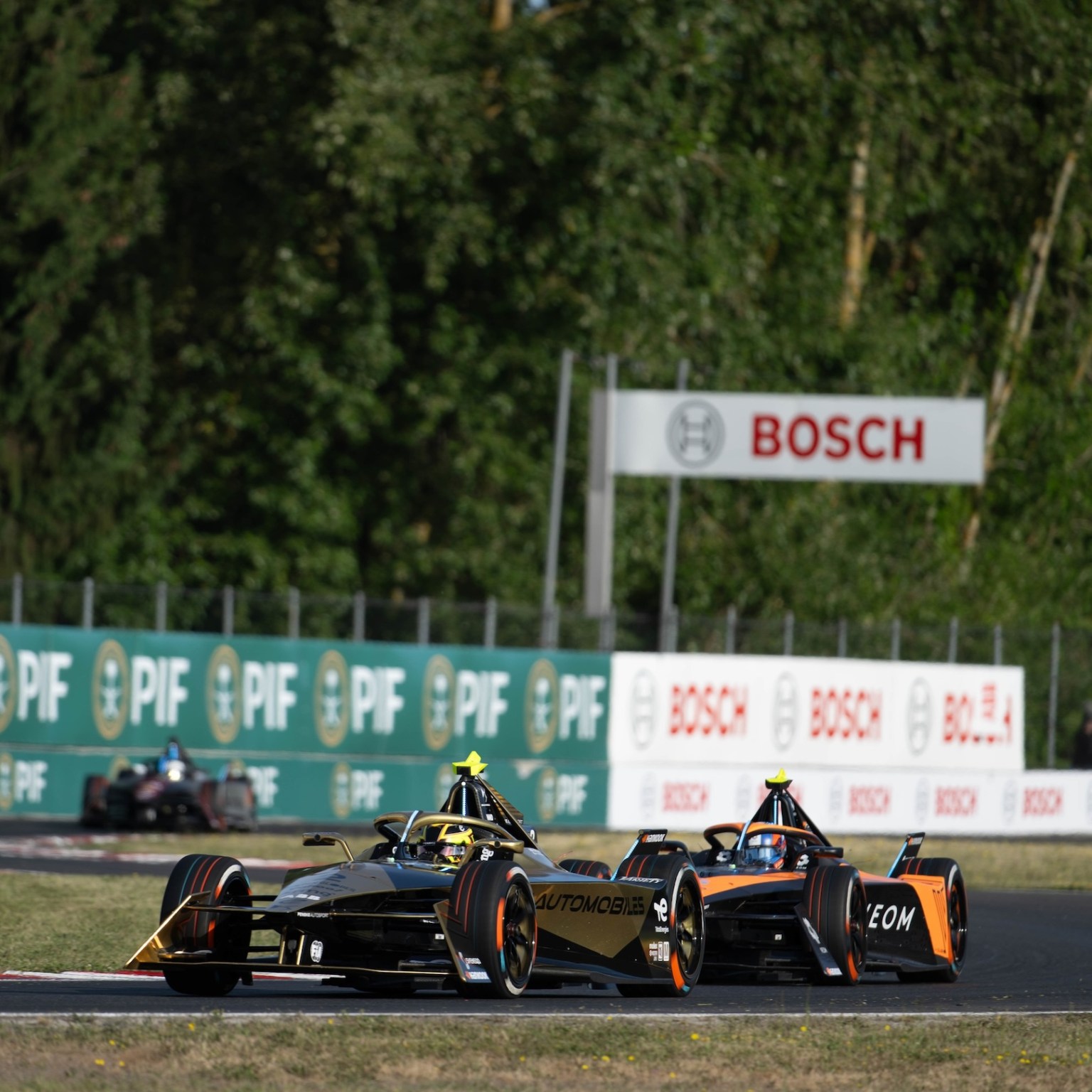 Foto acompanhante de duque de caxias