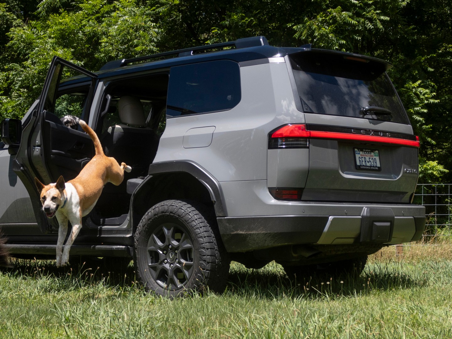 2024 Lexus GX 550: Is It Good for Dog Owners?