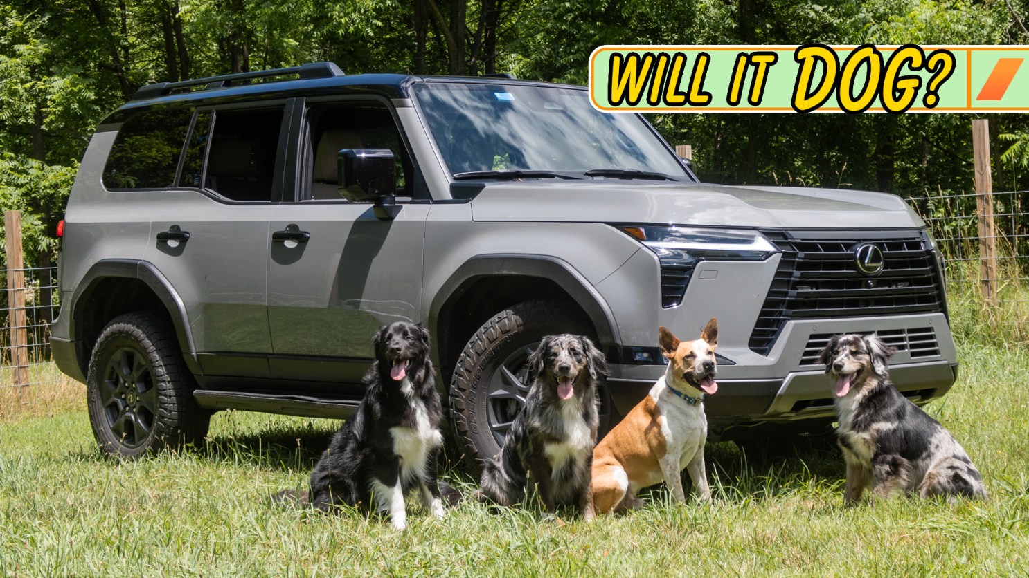 2024 Lexus GX 550: Is It Good for Dog Owners?