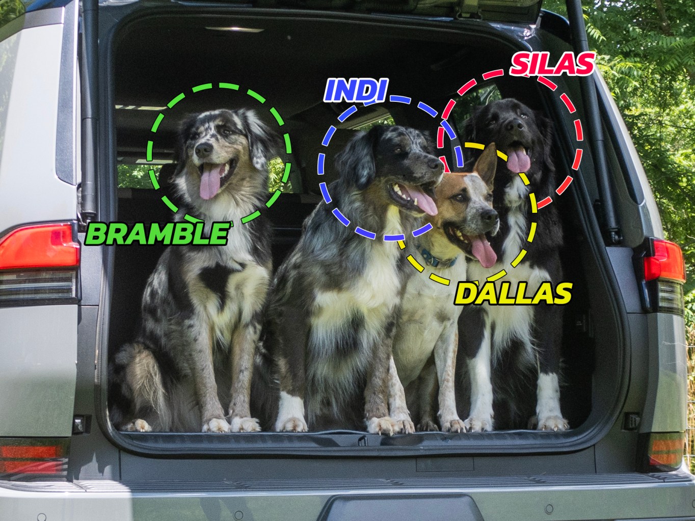 2024 Lexus GX 550: Is It Good for Dog Owners?