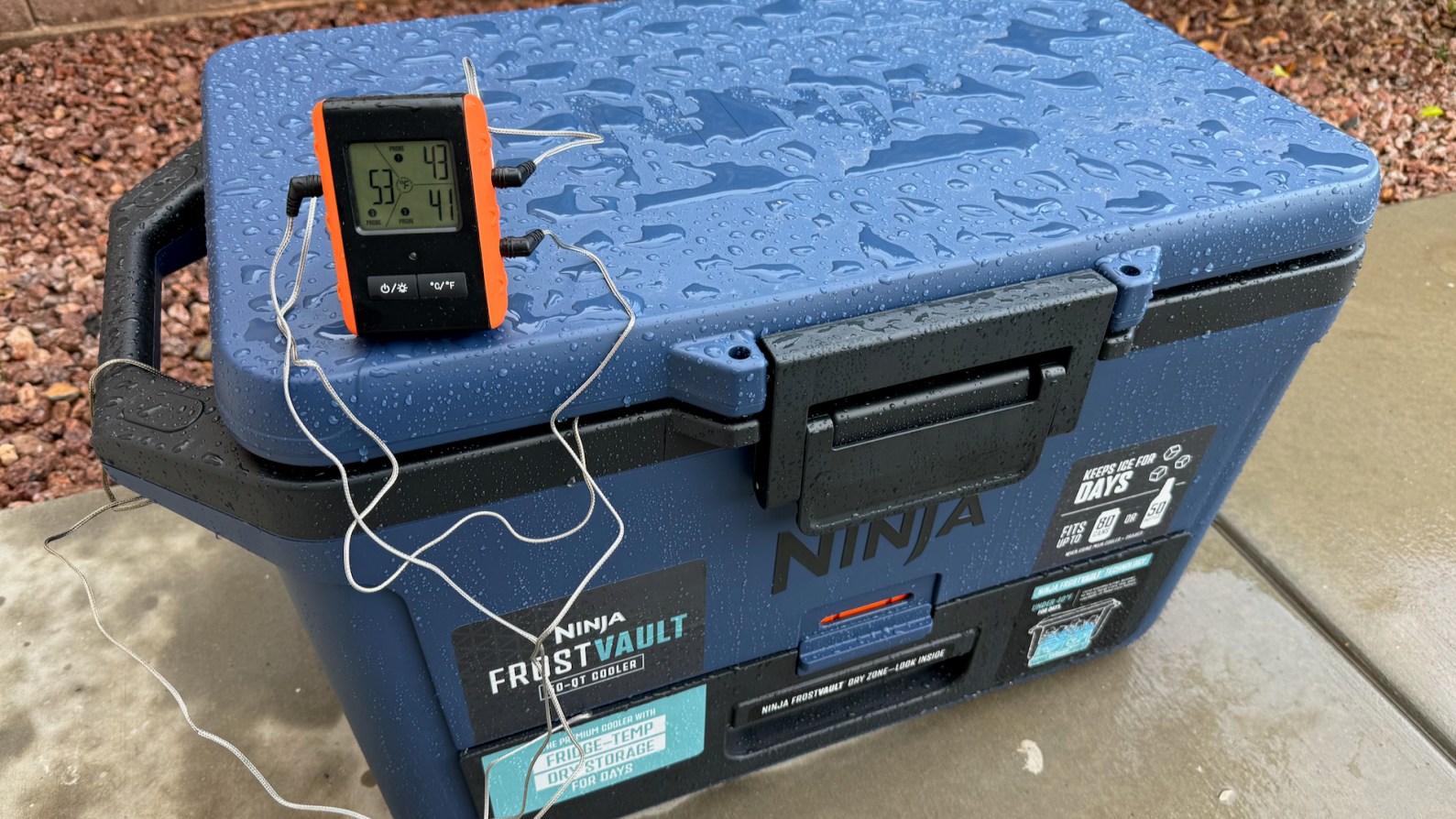Ninja Frost Vault 50 Quart Cooler Hands-On Review