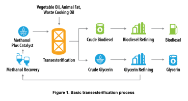 What Happened to Biodiesel? It's Complicated