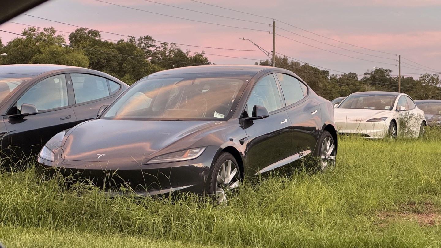 Tesla Is Stocking Unsold, Brand-New Model 3s in an Overgrown Field in ...