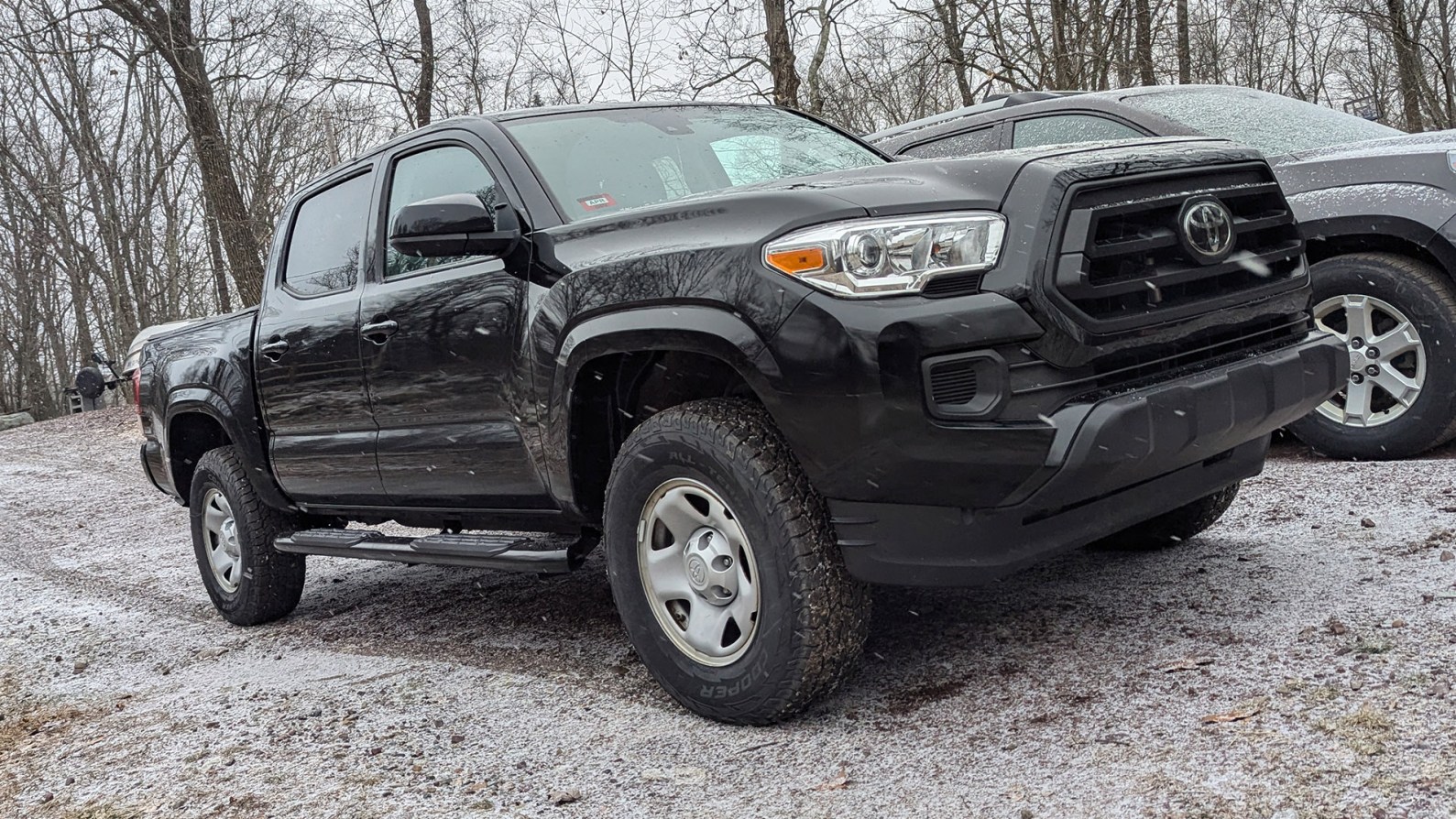 RealTruck Ionic 5-Inch Curved Nerf Bars Review