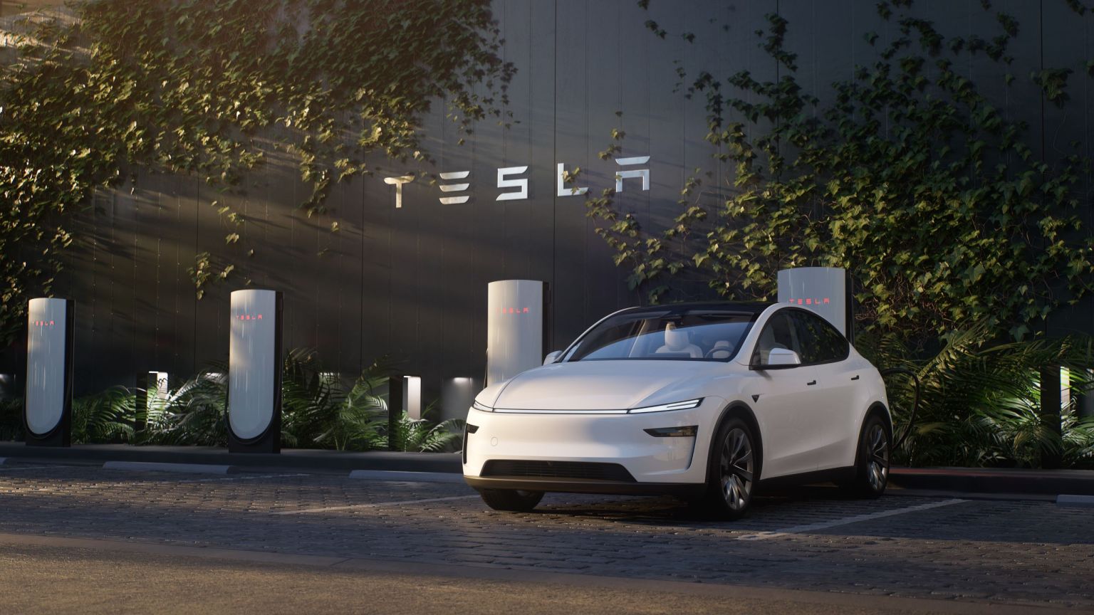 Tesla Delays More Affordable Model Y: Report