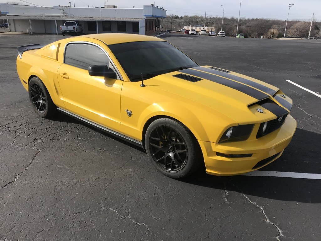 Fake Ford Shelby Mustangs Seized From Defrauding Collector Up for Auction