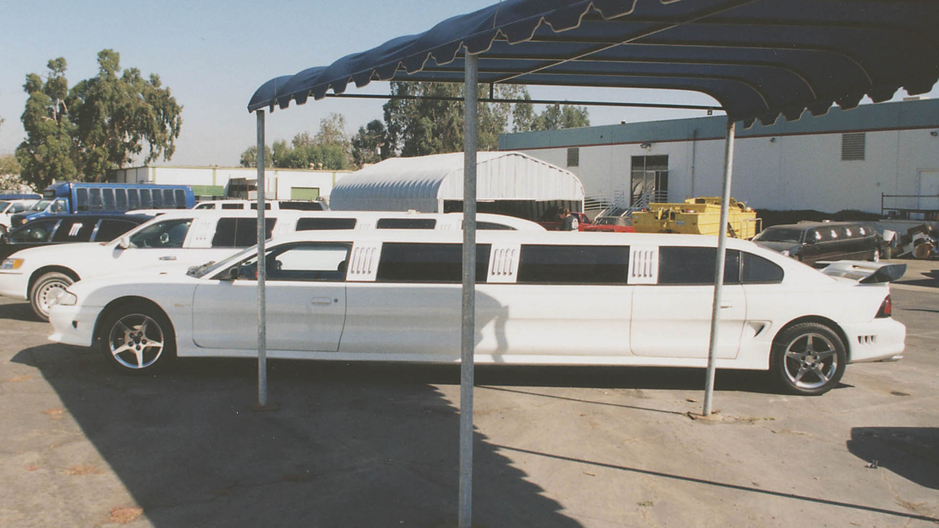 The Larger-Than-Life Tale of Vini 'Big Daddy' Bergeman, the Limo King ...