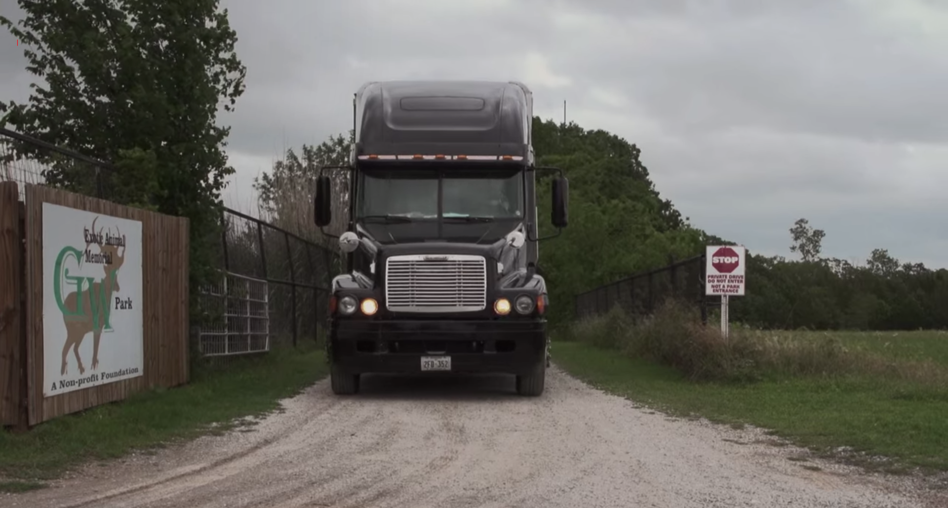 These Are the Wild Cars of Netflix's Tiger King