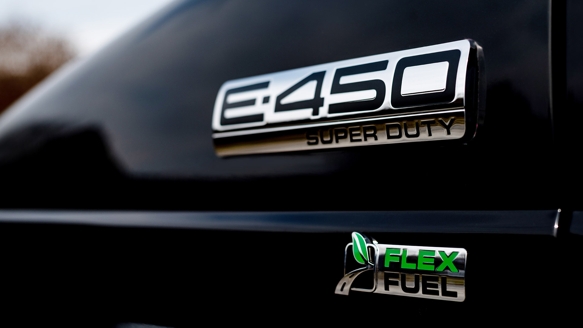 What is Flex Fuel?