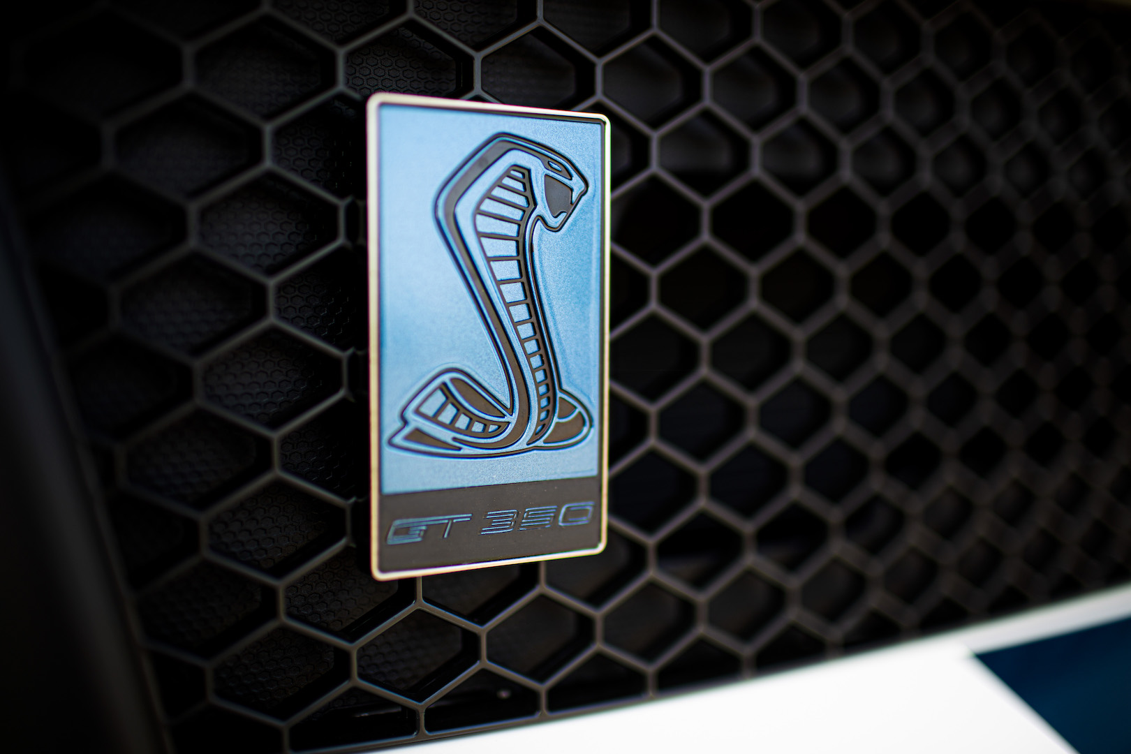 Ford Mustang Shelby GT350 Is Gone, But Voodoo V8 Could Live On